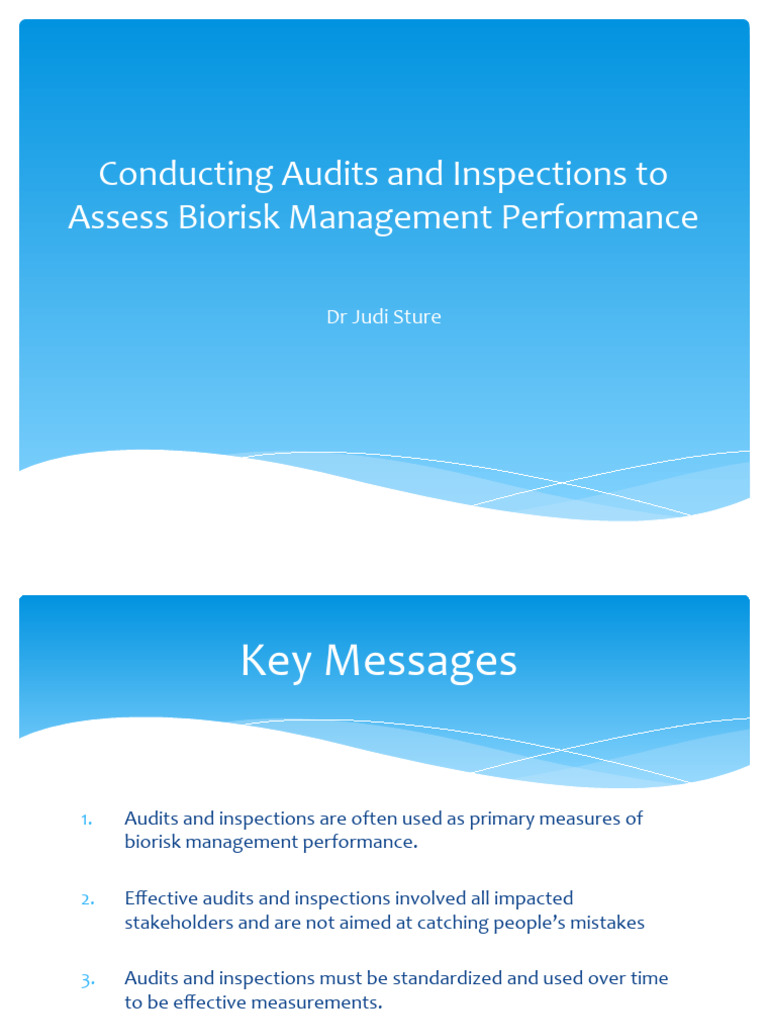 Conducting Audits | PDF
