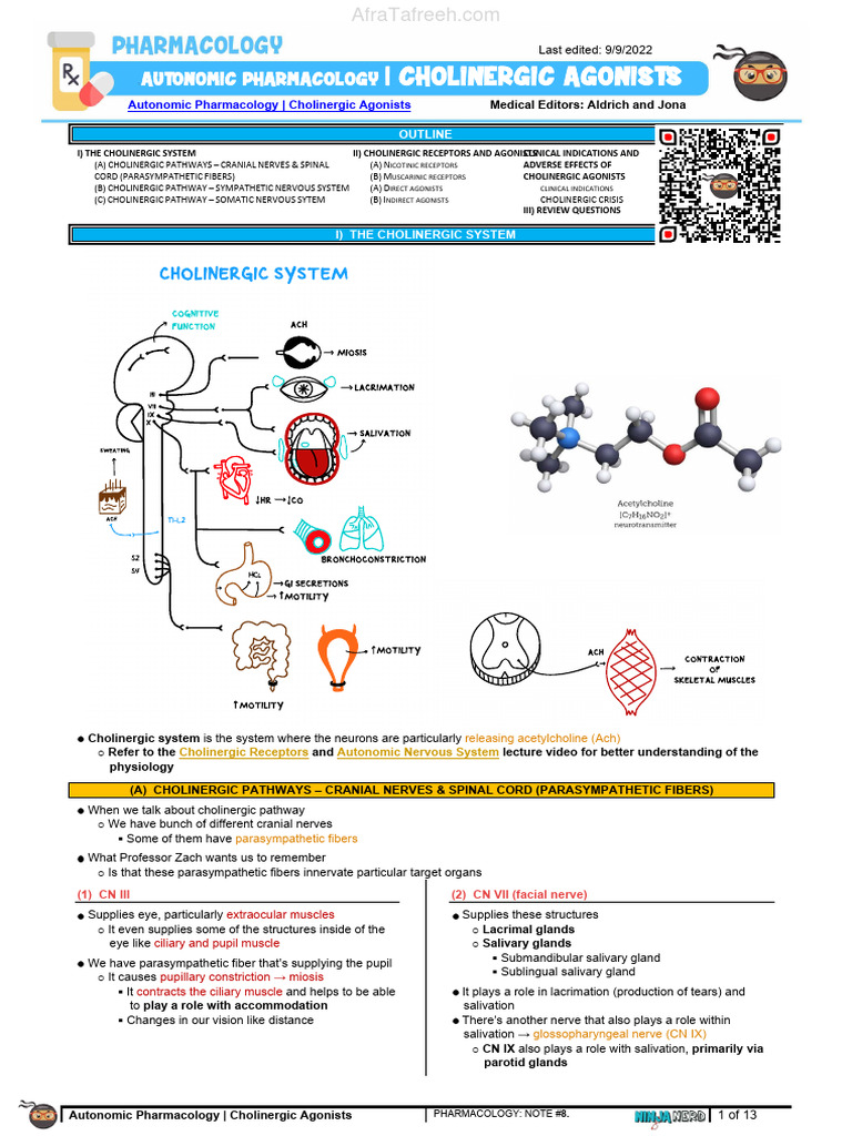 08 Cholinergic Agonists (Notes) Atf | PDF | Acetylcholine | Receptor ...