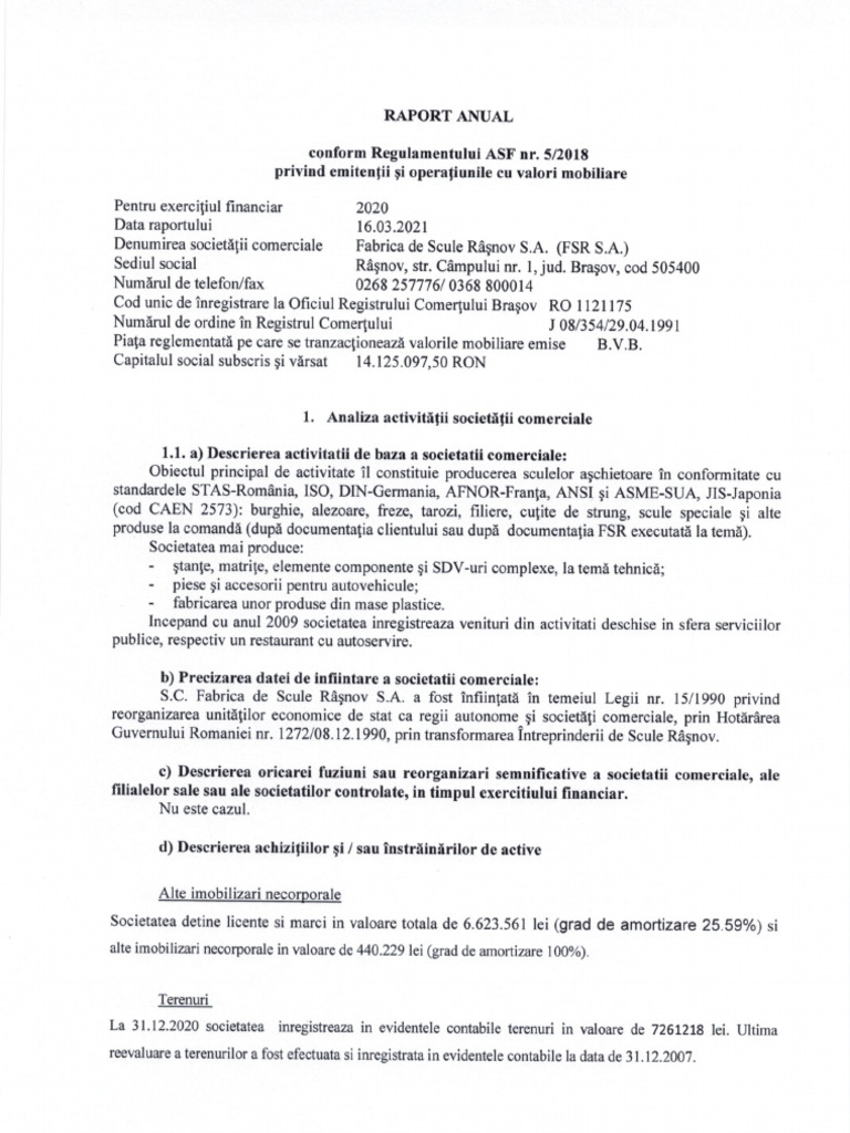 FACY-Raport Anual 2020 Cu Anexe | PDF