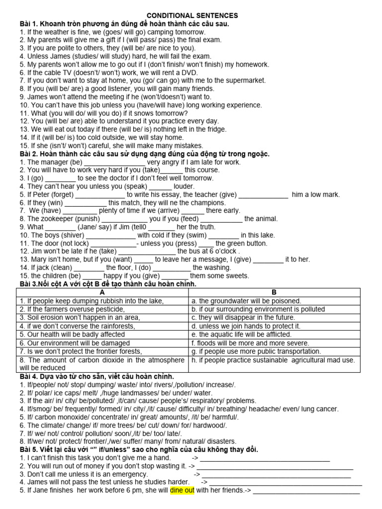 Conditional Sentences | PDF | Pollution | Nature