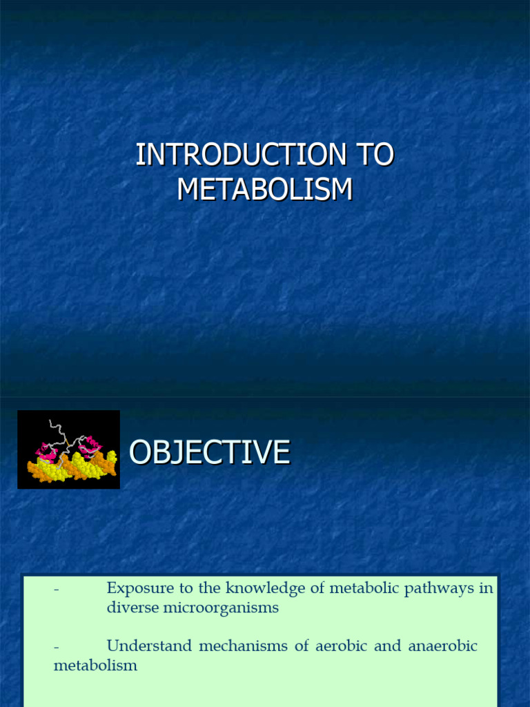 Overview of Metabolism Processes | PDF | Cellular Respiration ...