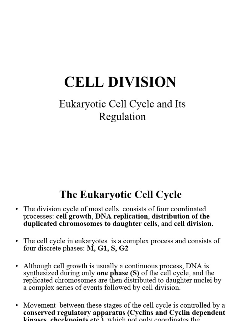 Cell Divison | PDF