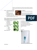 Le Carpelle : Organe des Angiospermes | PDF | Fruit | Embryon