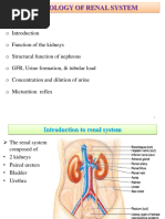 Overview of Renal Physiology Functions | PDF | Kidney | Urinary System