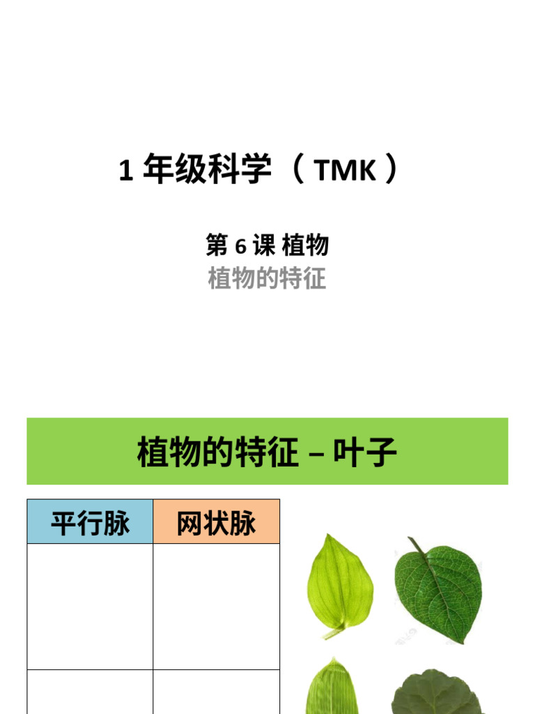 1年级科学（TMK) | PDF