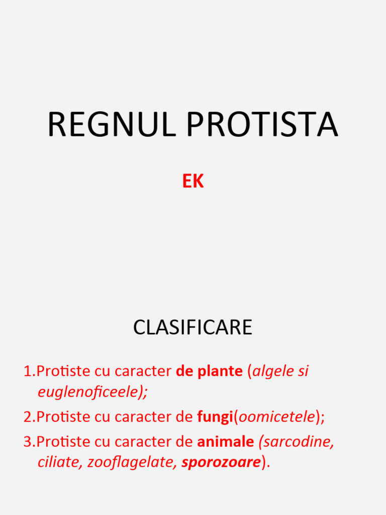REGNUL PROTISTA Fungi 2023 Bacalaureat Bac | PDF