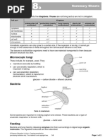 Exploring Science Y7 Workbook | PDF