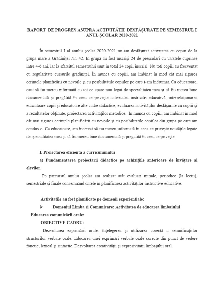 Raport de Progres Grupa Mare | PDF