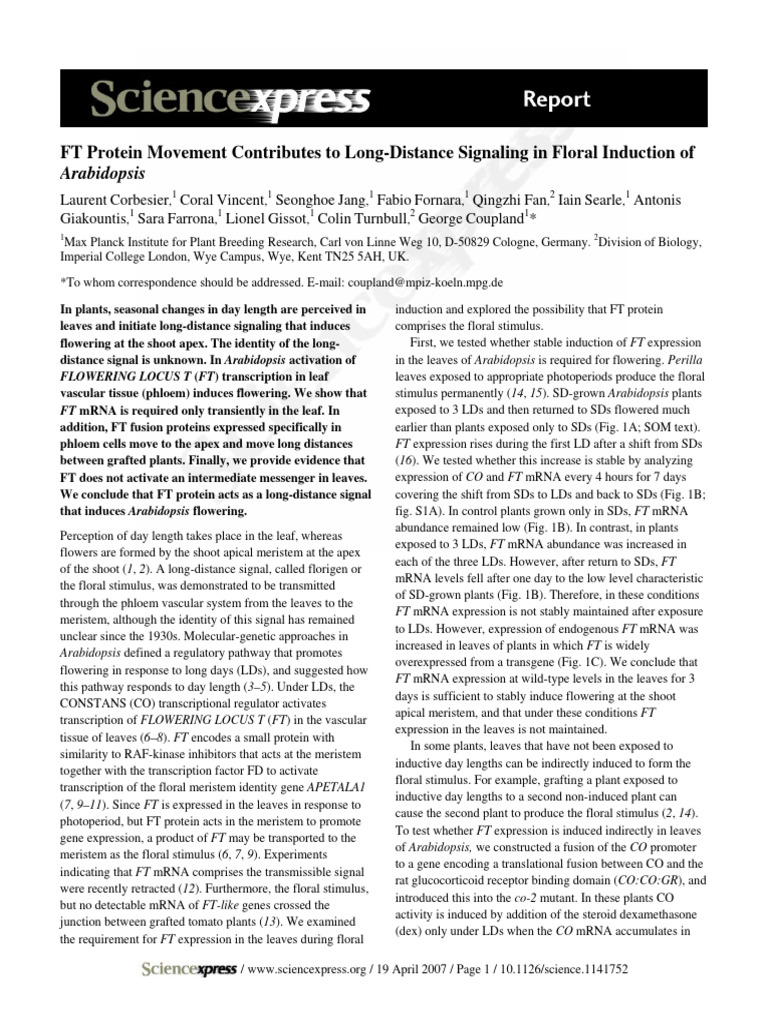 TD2 Delrot 2015-2016 | PDF