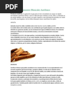 Instrumento Erke | PDF | Trompeta | Instrumentos musicales