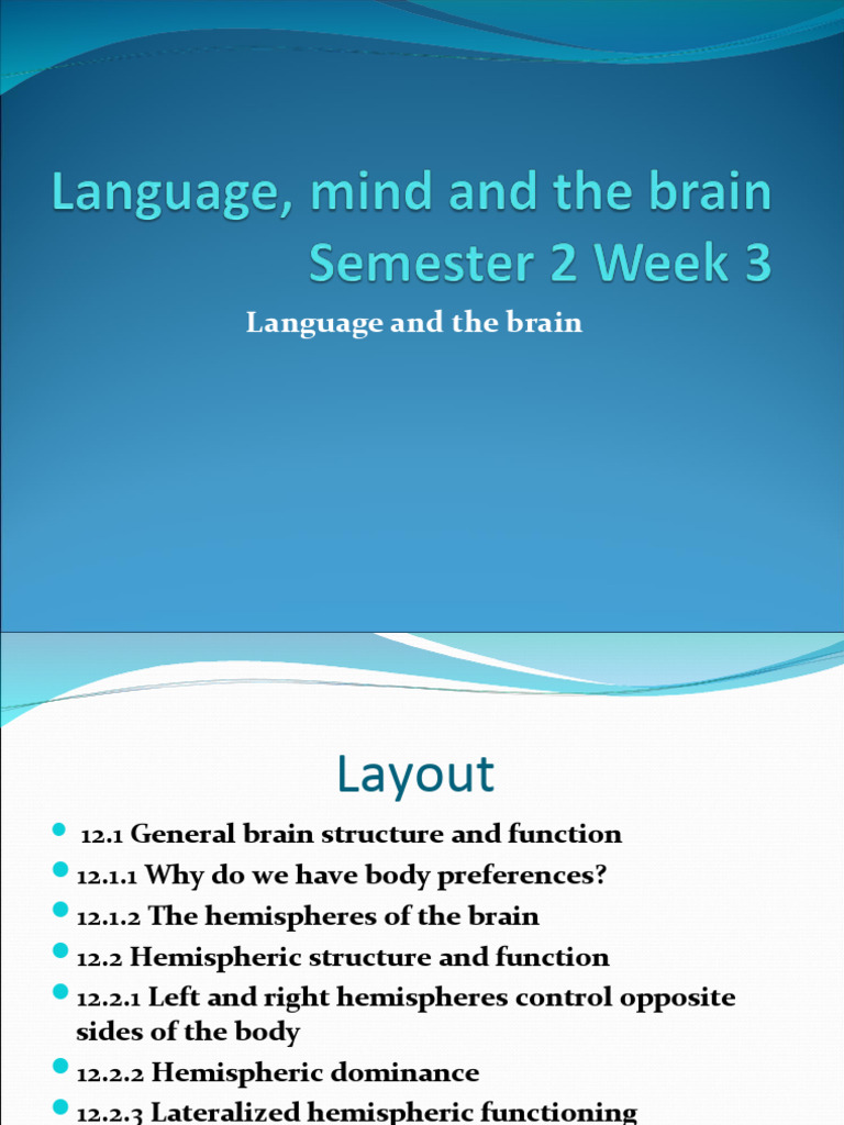 An Introduction To Psycholinguistics How Children Learn A Language Pdf