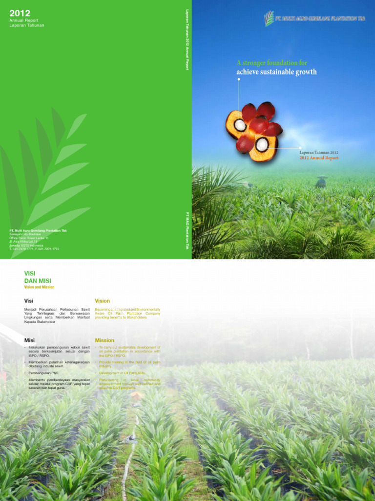 Magp 2012 | PDF | Equity (Finance) | Balance Sheet