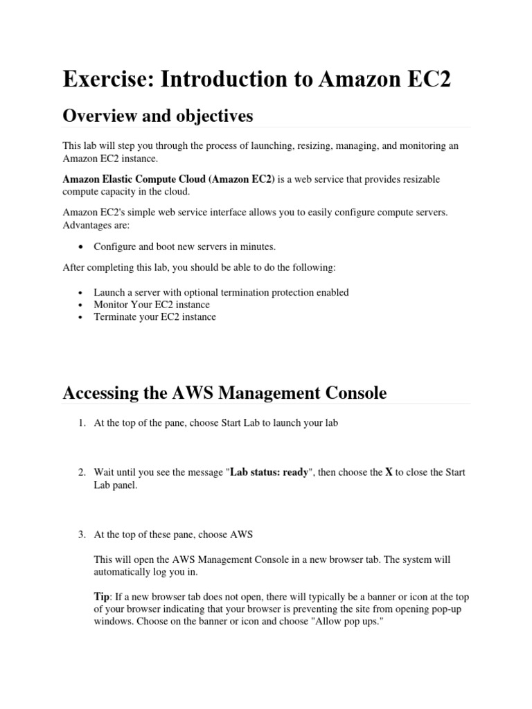 AWS EC2 Lab for Beginners | PDF | Business