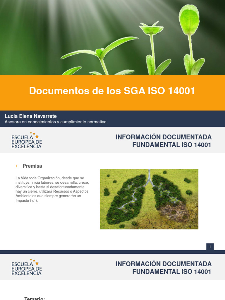 Documentos de Los SGA ISO 14001 | PDF | Evaluación del ciclo de vida | Entorno natural