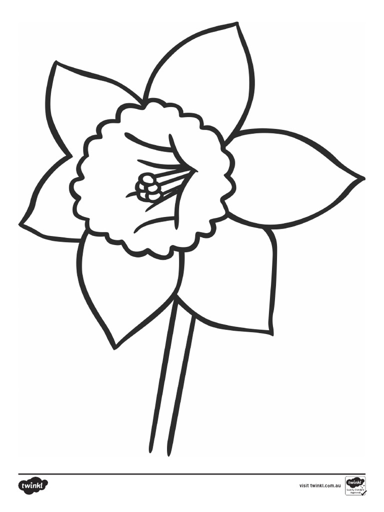 Au T 10000721 Daffodil Colouring Pages English Ver 1 | PDF