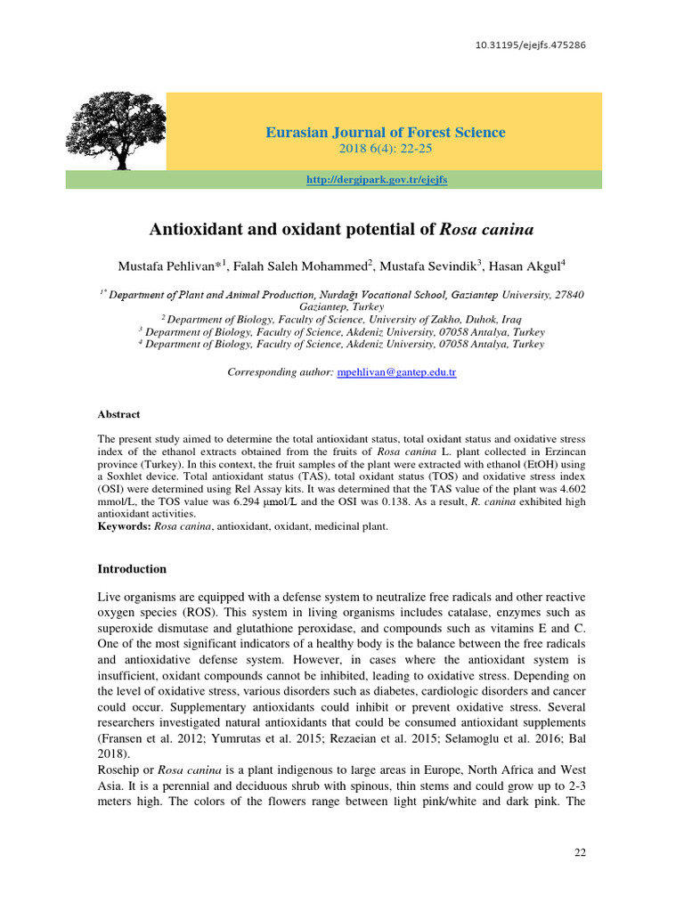 10 31195-Ejejfs 475286-603456 | PDF | Antioxidant | Biomolecules