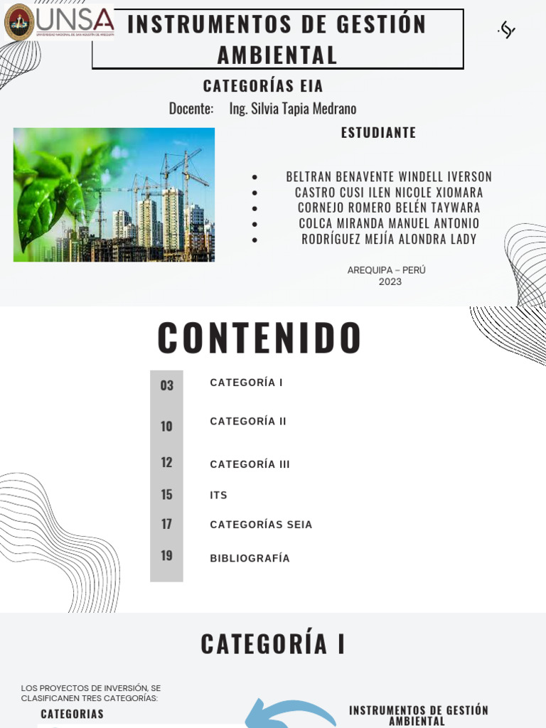 Categorías Eia | PDF | Evaluación de impacto ambiental | Ciencias de la ...