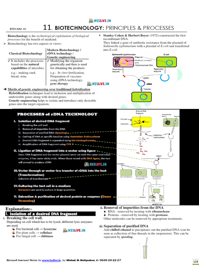 Hsslive XII Botany CH 11 Minhad New | PDF | Primer (Molecular Biology ...
