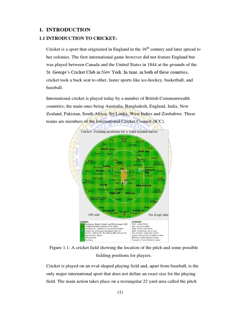 Minor Report Content | PDF | Data Analysis | Analytics