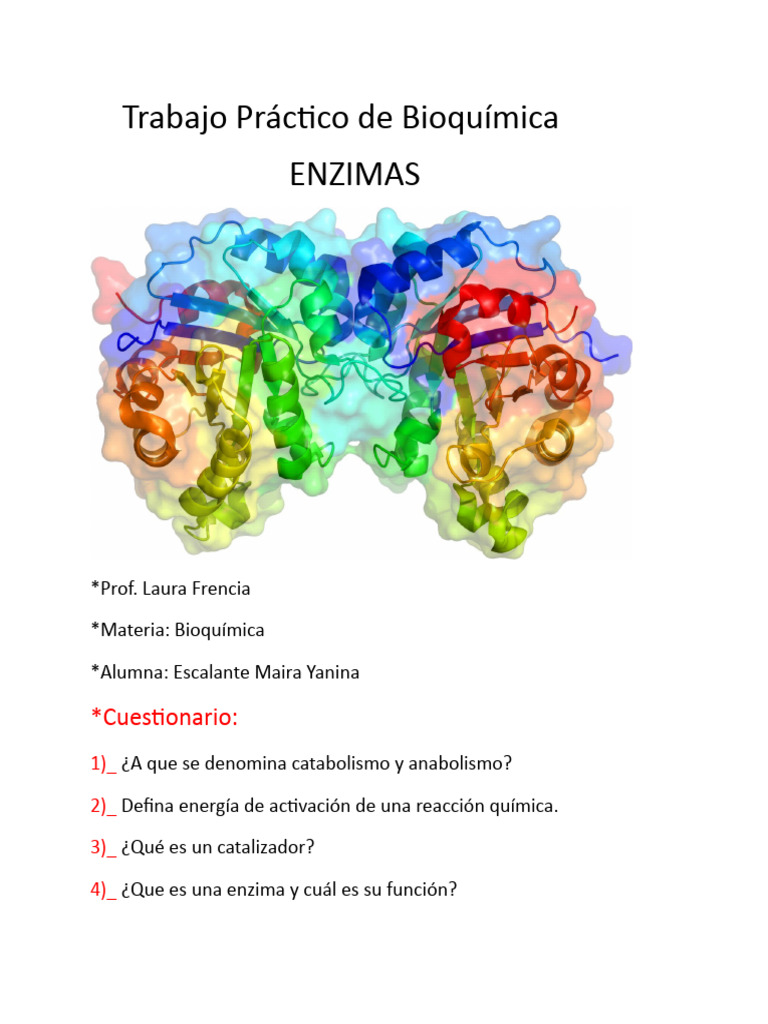 Bioquimica Enzimas | PDF