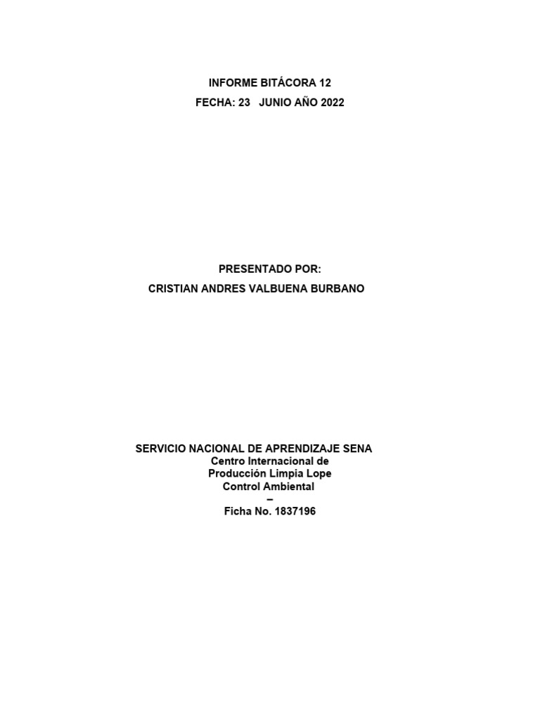 Informe Bitácora 12 | PDF