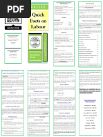 Belize Labor Laws Overview 2024 | PDF | Sick Leave | Overtime