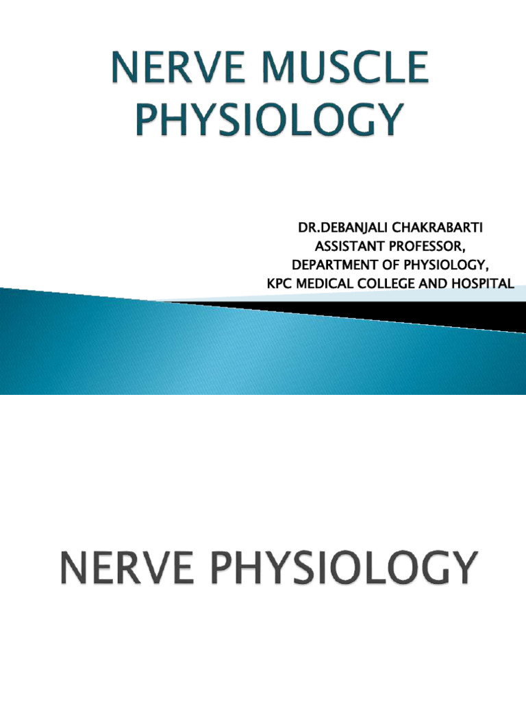 Nerve Muscle Physiology | Download Free PDF | Axon | Neuron