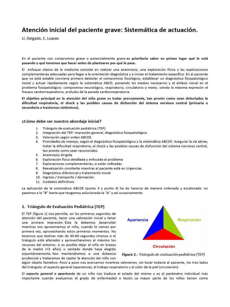 Atención Inicial Al Paciente Grave | PDF