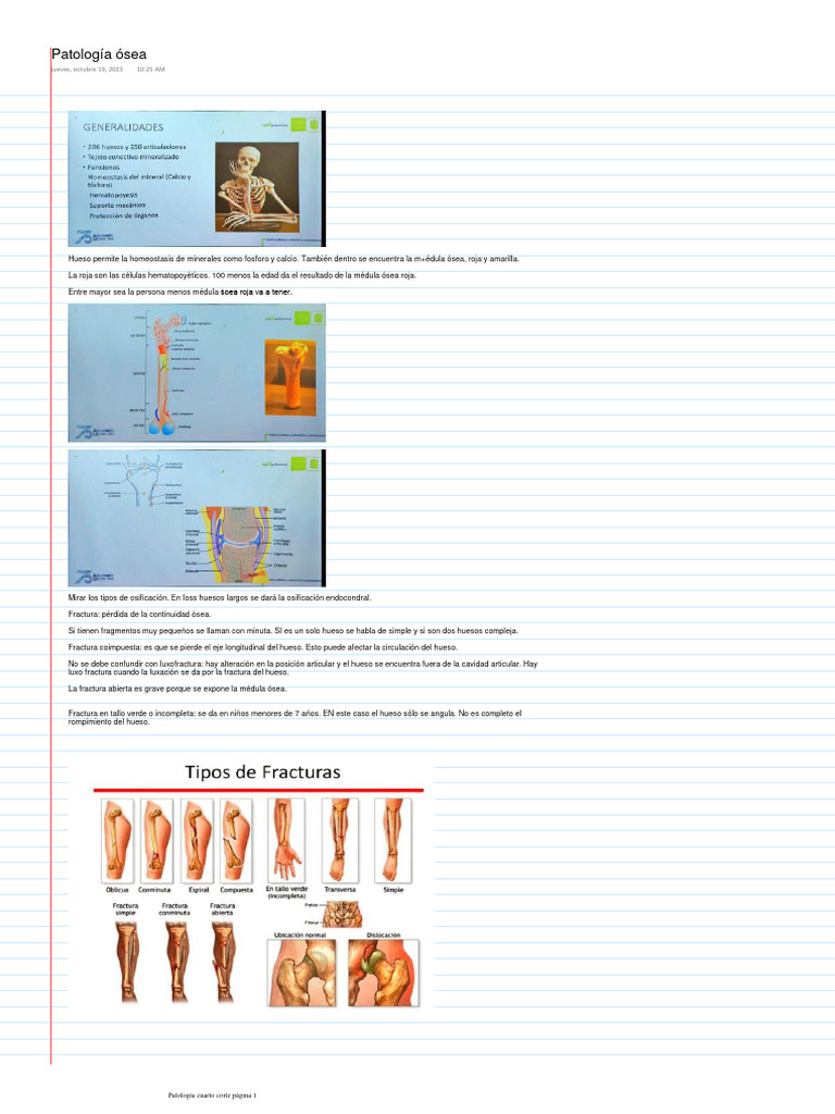 Patología Ósea | PDF