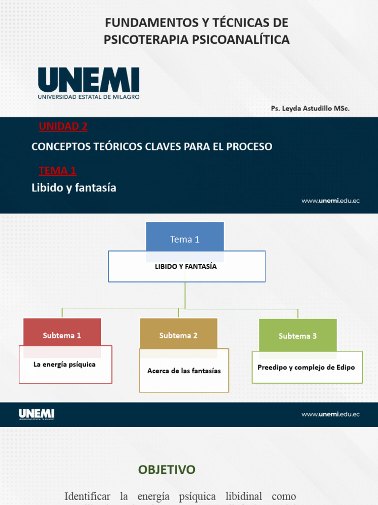 Fundamentos de Libido y Fantasía en Psicoanálisis | PDF | Libido ...