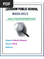 Dna Fingerprinting Bio Project | PDF | Dna Profiling | Dna