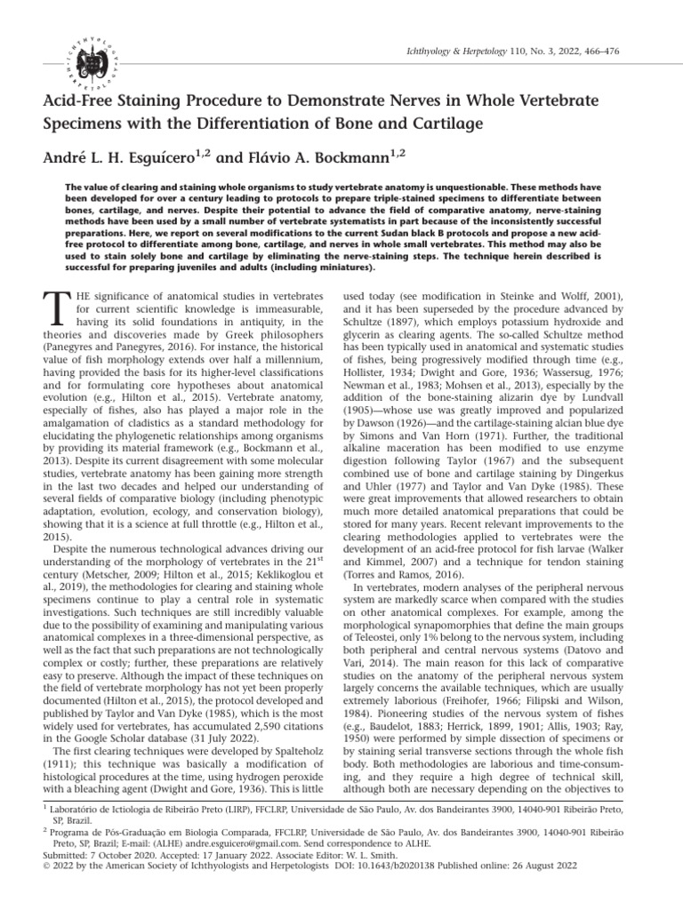 Acid-Free Staining Procedure To Demonstrate Nerves in Whole Vertebrate ...