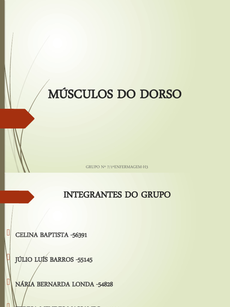 Músculos Do Dorso h3 | PDF