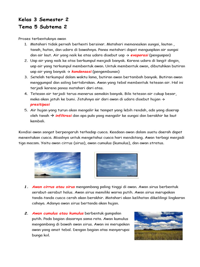 Jenis Awan Tema 5 Subtema 2 | PDF
