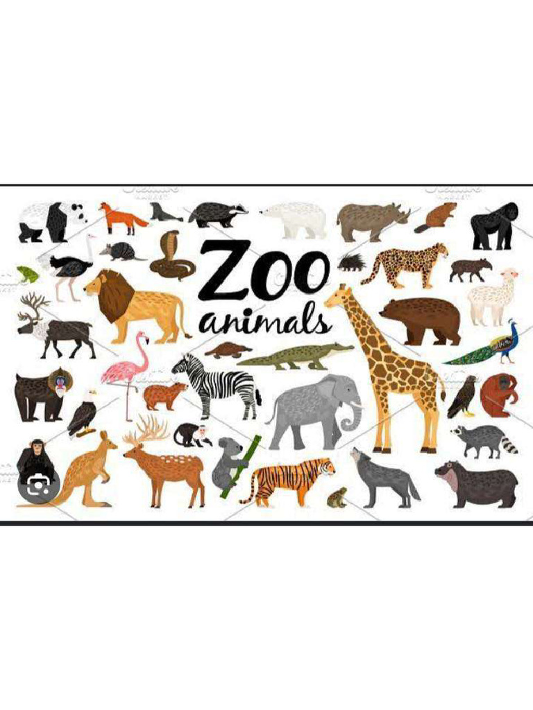 Zoo Animals | PDF