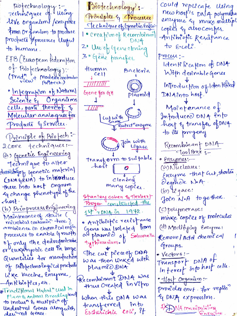 Biotechnology-Principles and Processes Class 12 Notes PDF | PDF