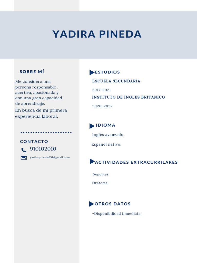 Yadira Pineda Ramirez (Curriculum Vitae) | PDF
