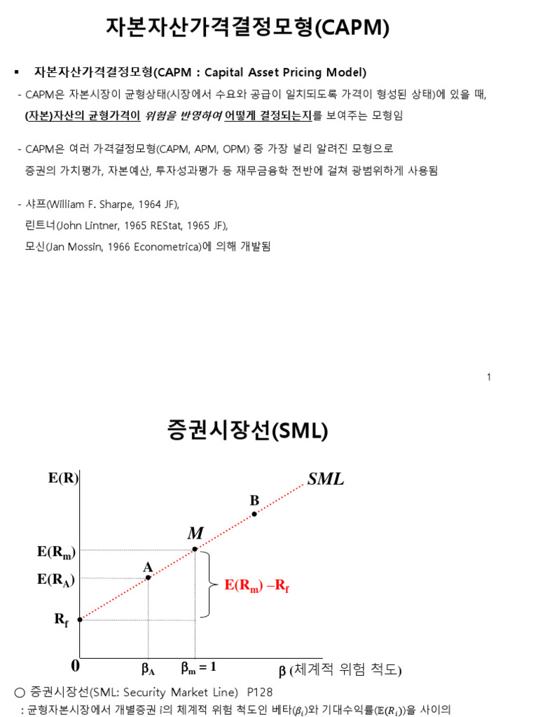 LectureNote5 FM Risk Return CAPM | PDF
