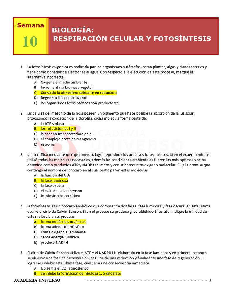 Fotosíntesis y Respiración Celular: Claves Biológicas | PDF | Salud y ...