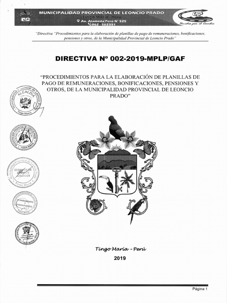 Directiva N°002-2019-Mplp-Gaf Procedimiento para La Elaboracion de ...