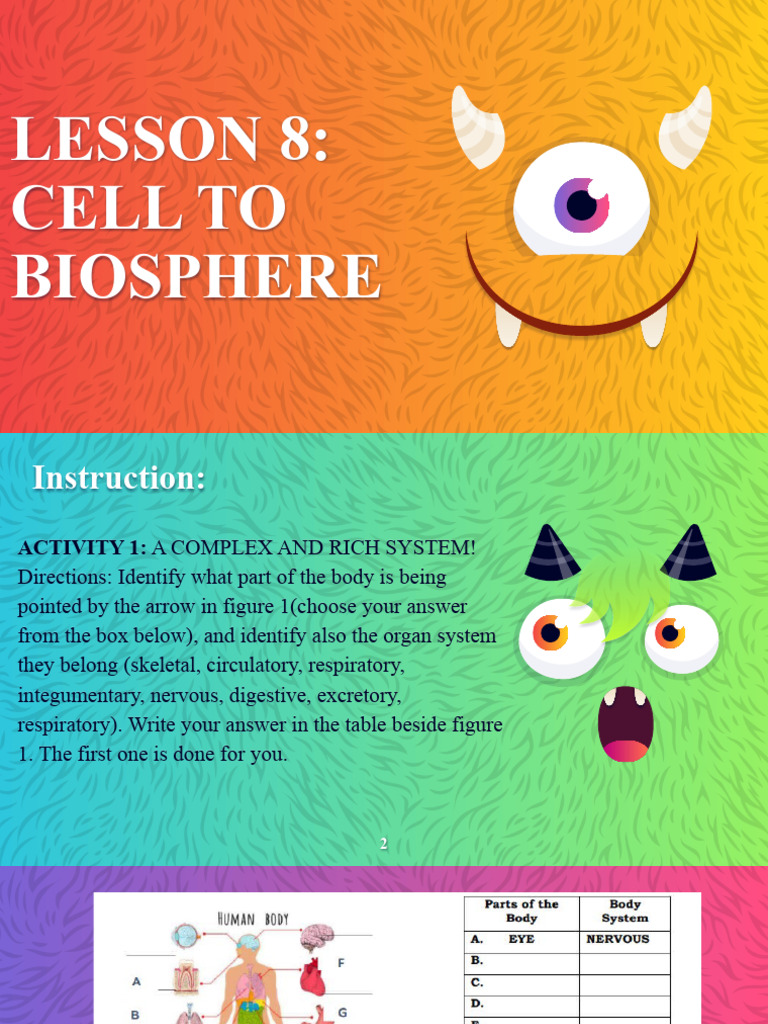 Grade 7 Lesson 9 Plants and Animal Cell | PDF