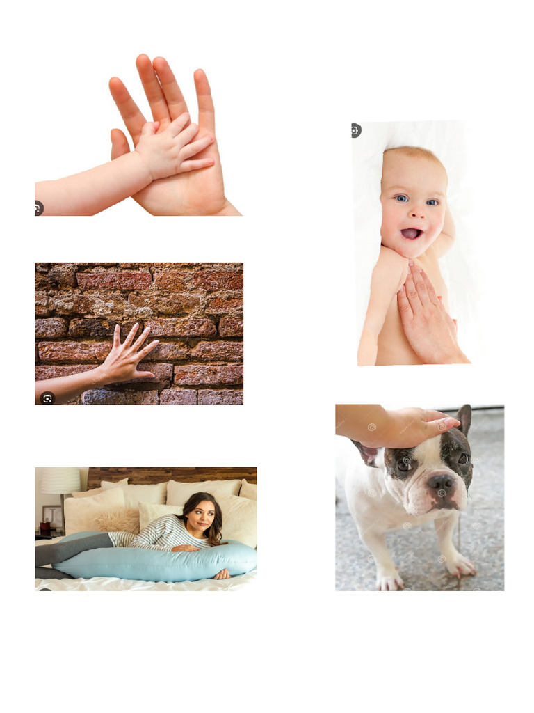 5 Senses Drawing Worksheets Grade 3 | PDF