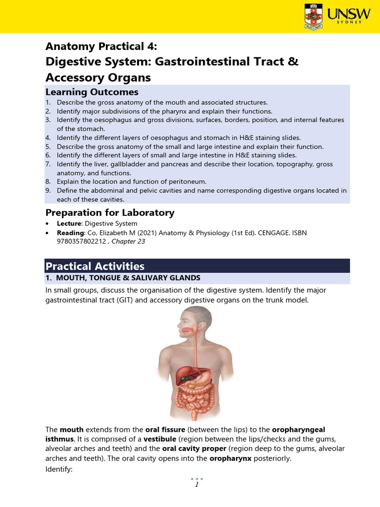 Lab 4 - HS2-Prac manual Digestive System_2023_T3_ | PDF