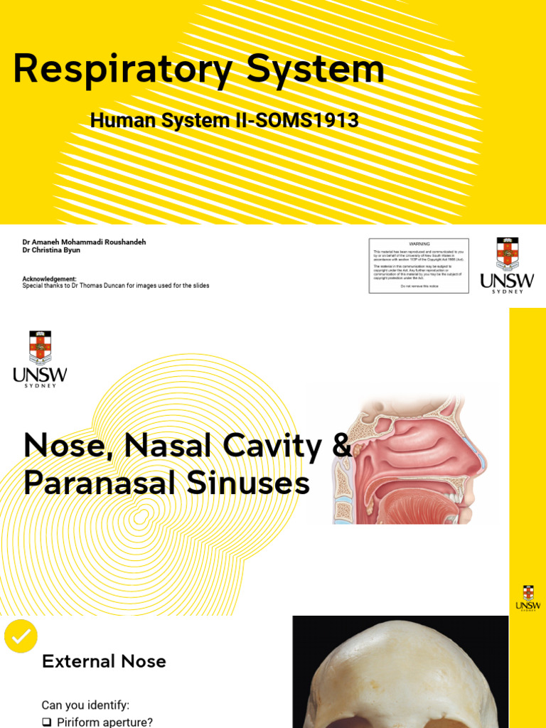 Lab2 HS2 Prac Slide Respiratory 2023 T3 With Answer | PDF