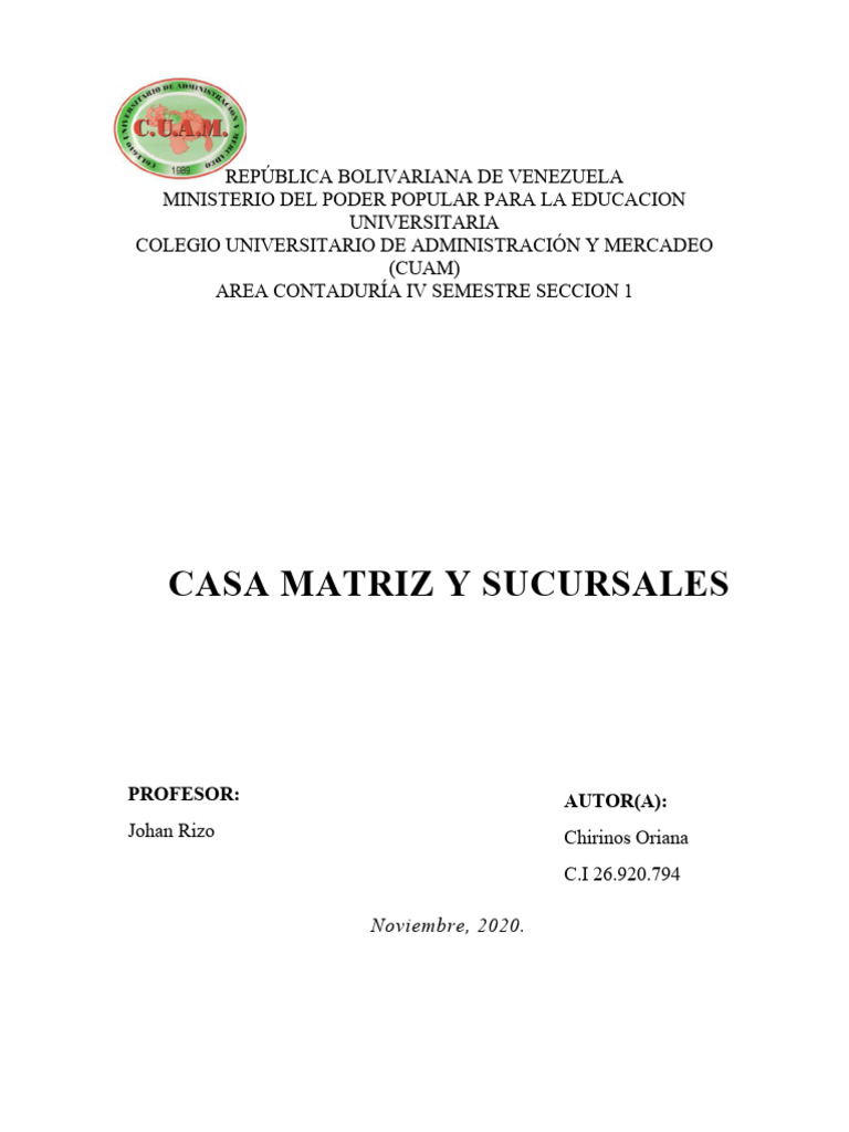 Matrices y Subsidiarias | PDF | Contabilidad | Subsidiario