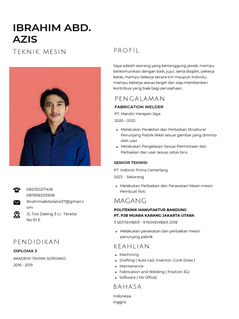CV Ibrahim Abdul Azis | PDF