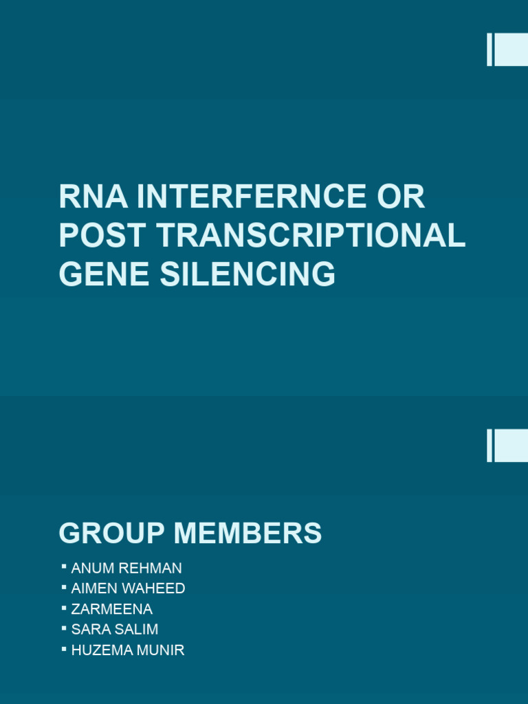 RNA Interference | PDF
