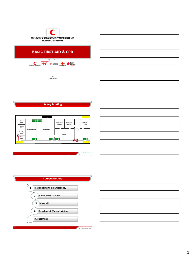 Basic First Aid 2018 | Download Free PDF | Shock (Circulatory) | First Aid