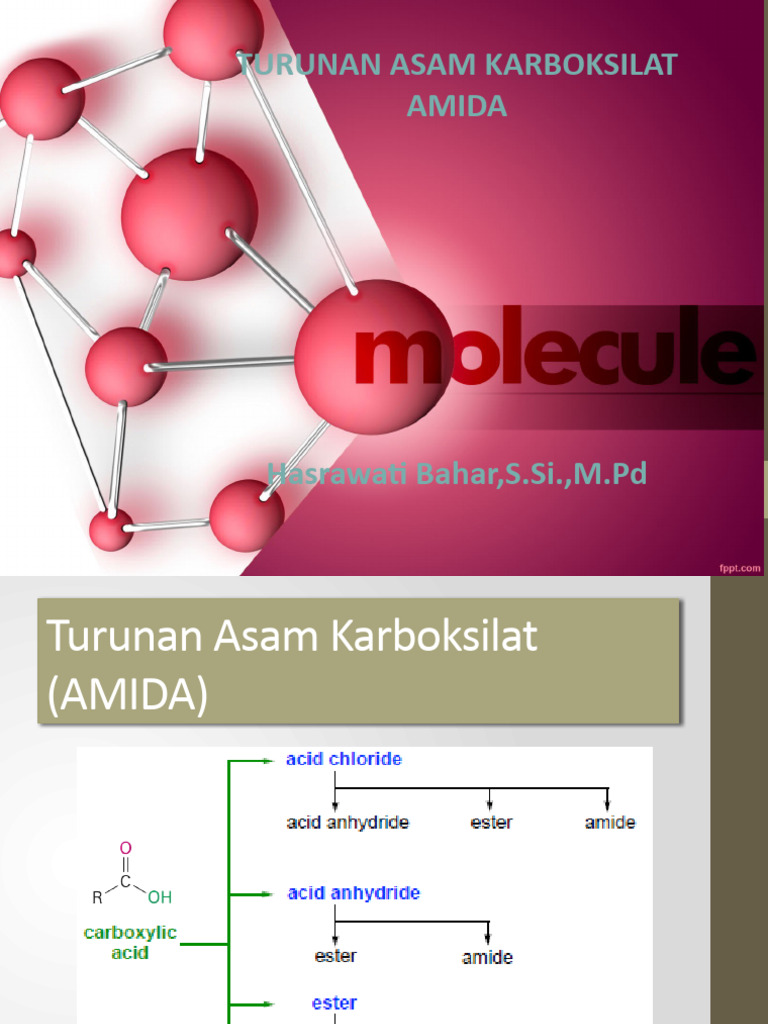 Amida Turunan Asam Karboksilat | PDF
