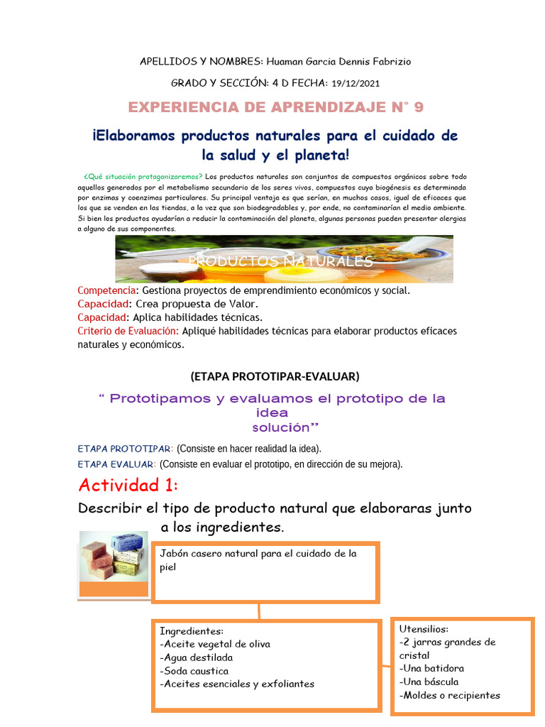 Experiencia de Aprendizaje #9 | PDF